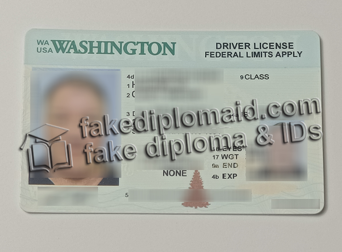 How long does it take to buy a US Washington driver's license online?