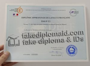 Where to buy a realistic DALF C1 diploma certificate in France?