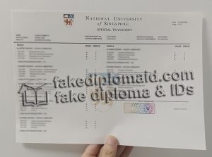 National University of Singapore transcript sample, buy fake NUS transcript