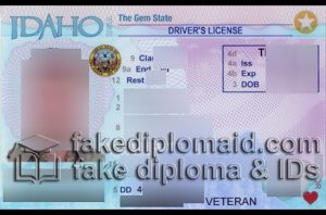 Duplicate US Idaho ID card|American Idaho ID card