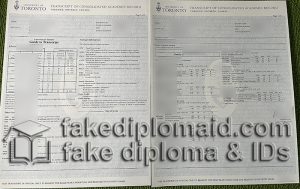 University of Toronto transcript of consolidated academic record
