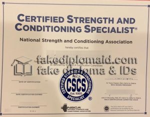 Buy a certificate|fake cert online