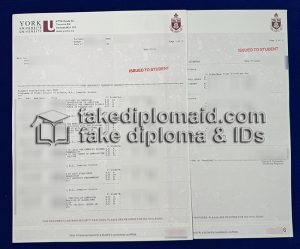Fake York University Transcript